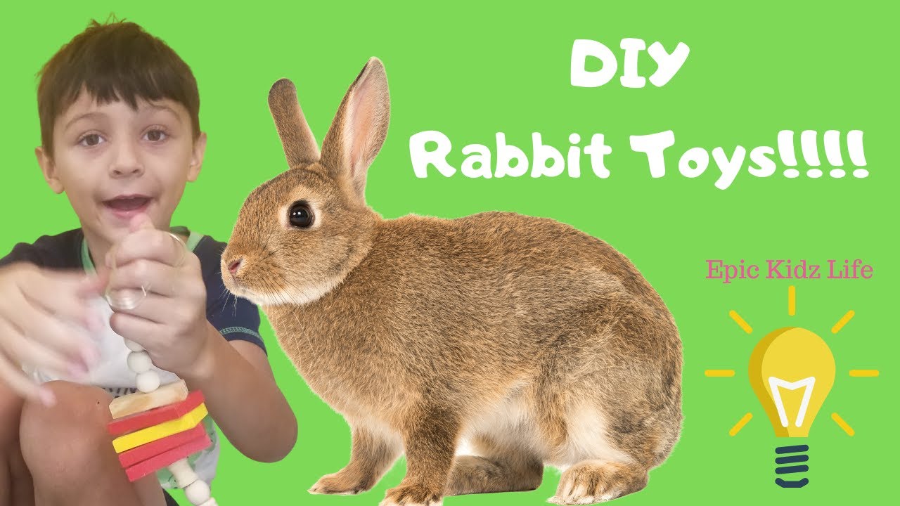 DIY Rabbit Toys: Make Your Own Rabbit Toys At Home - YouTube