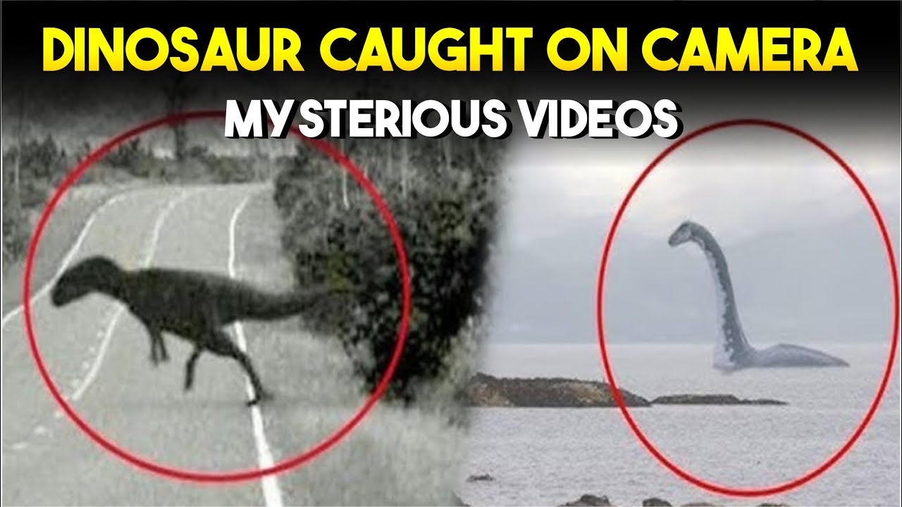 7 Times Dinosaur Caught On Camera | Musa World - YouTube