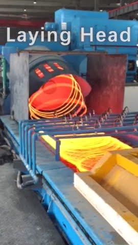 High speed wire rod Laying Head - YouTube