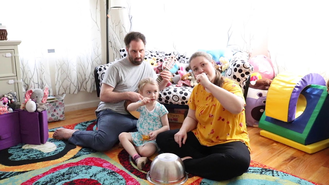 Bringing Home a Baby Bumblebee - YouTube