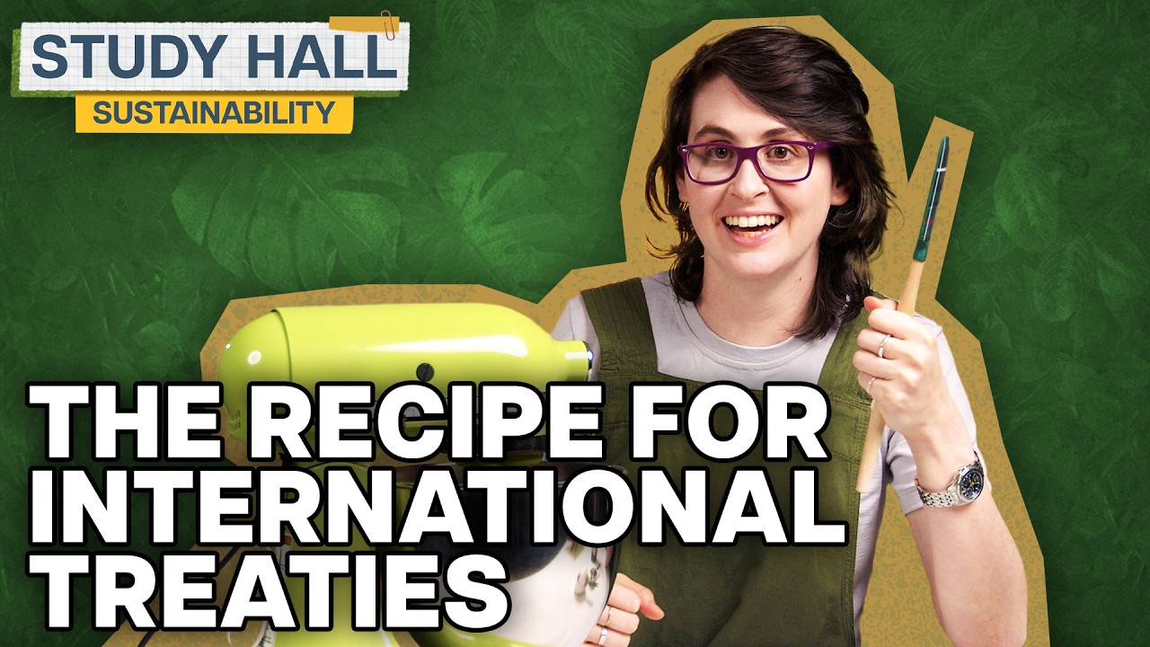 Is it Too Late to Save the Paris Agreement? | Sustainability 19 of 31 ...