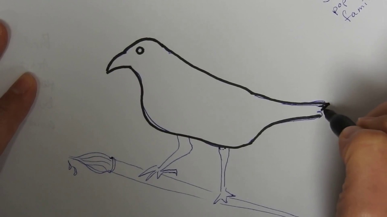 Creating a symbol that represents you - YouTube