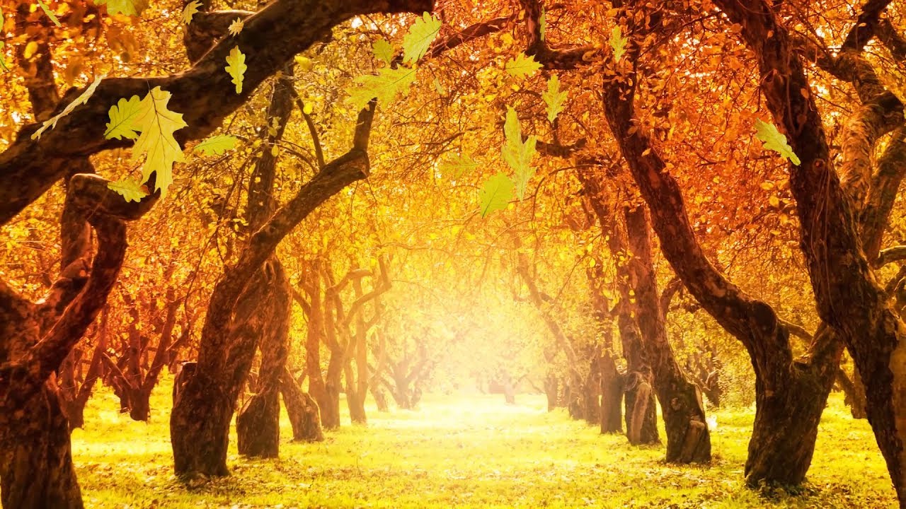 Peaceful music, Relaxing music, Instrumental music "Golden Autumn Peace ...
