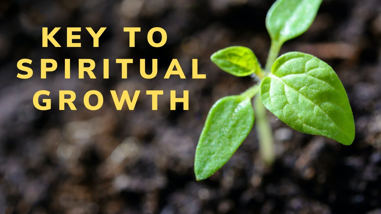 How To Grow Spiritually As A Christian Key To Spiritual Growth YouTube how-to-grow-spiritually-as-a-christian-key-to-spiritual-growth-youtube