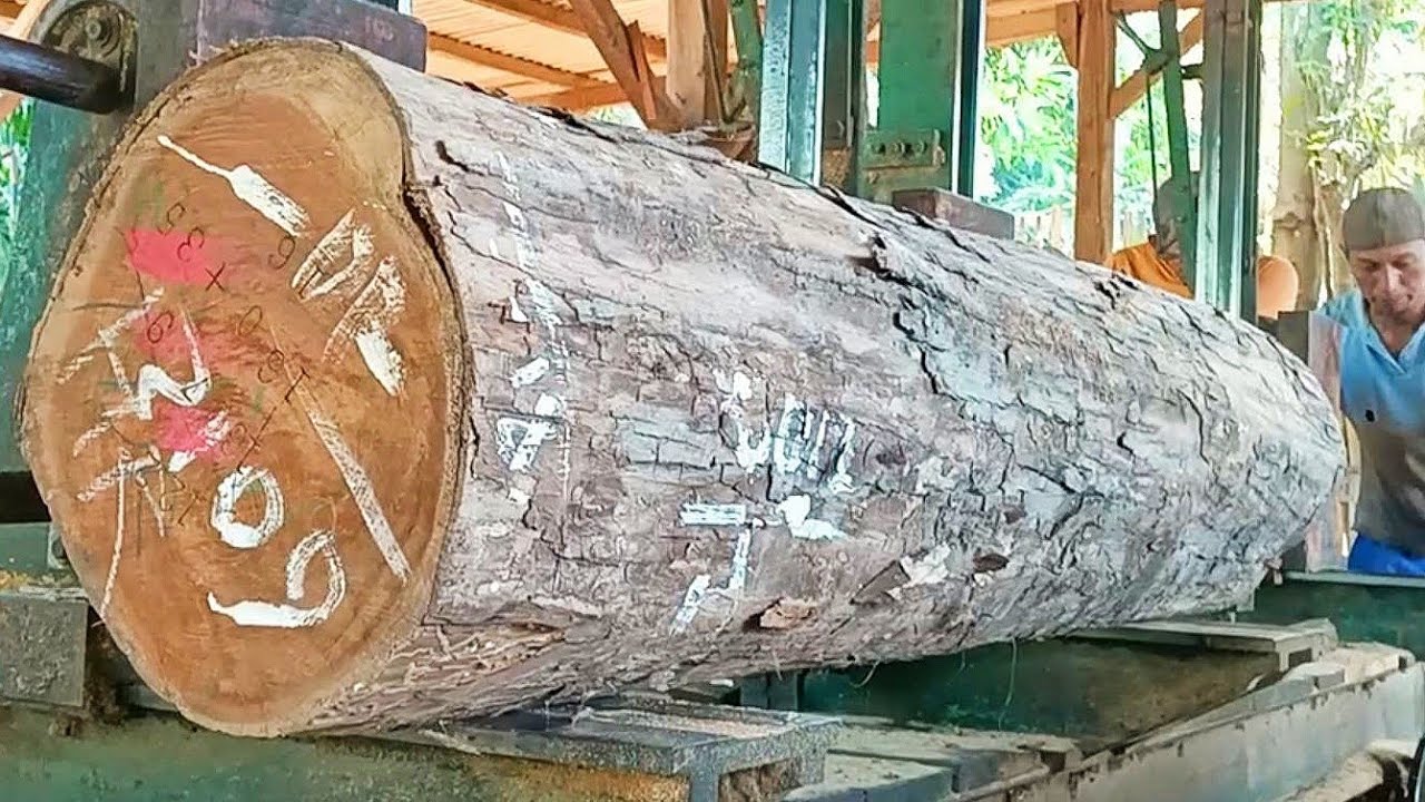 sawing of old teak logs full of dense fibers into precision frame ...