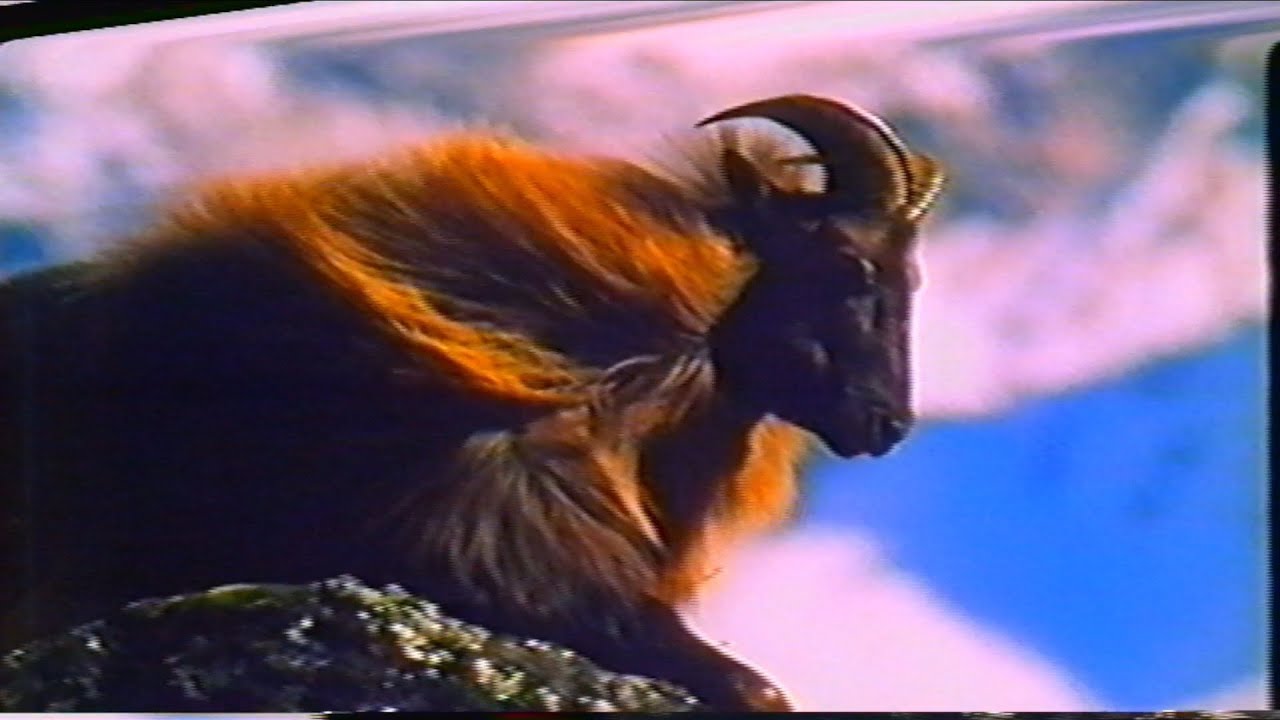 Ryan Celsius PHONK VHS DJ Live Set 003 [Test] - YouTube