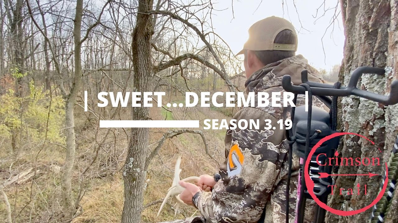 SWEET DECEMBER season 3 19 - YouTube