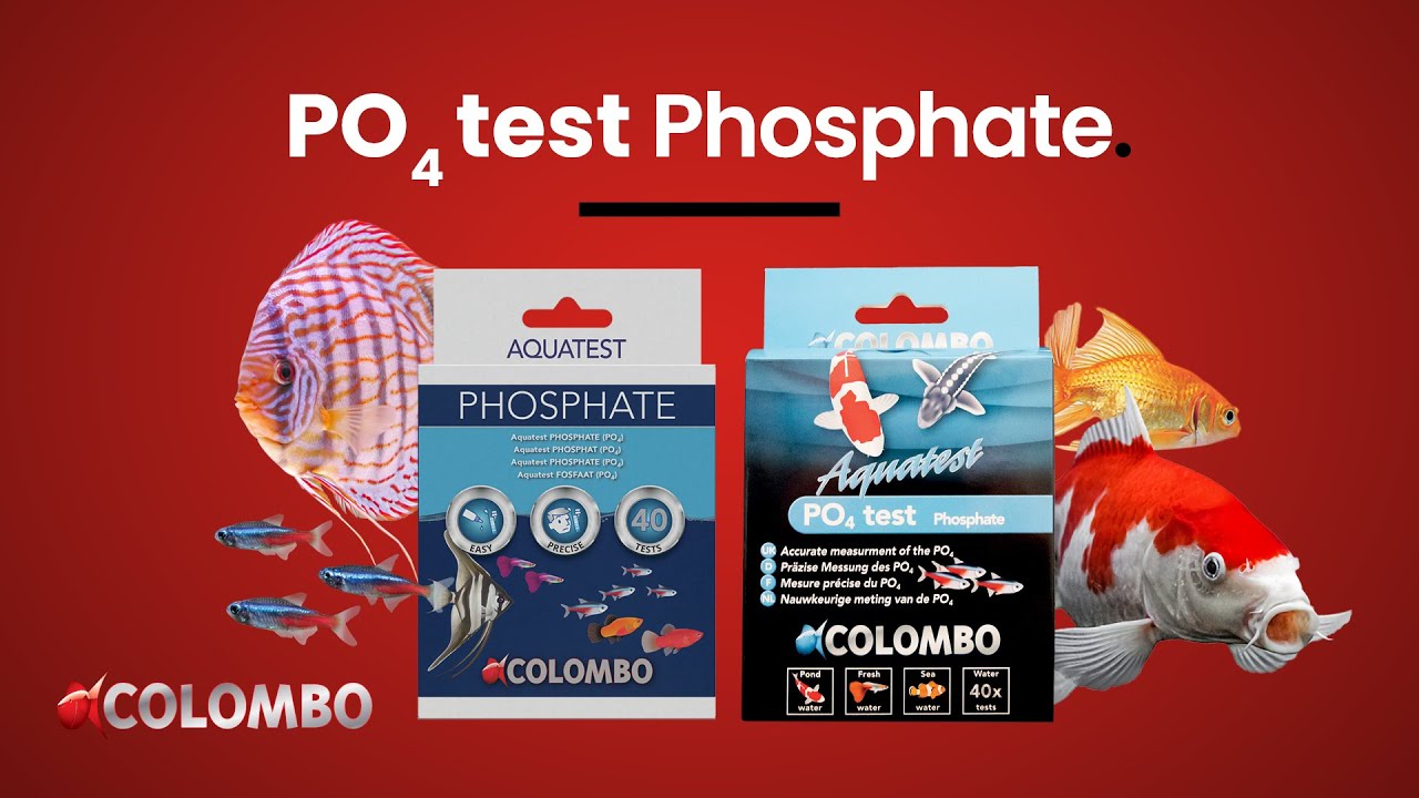 Colombo Pond Phosphate (PO4) Test - YouTube