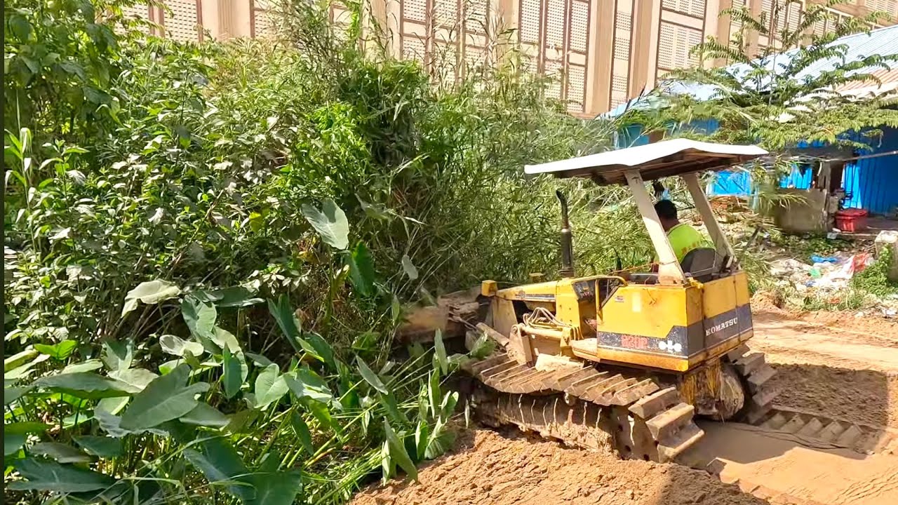 Awesome! Pushing Sand Bury On The Flooded Forest & Cranes The Big Woods ...