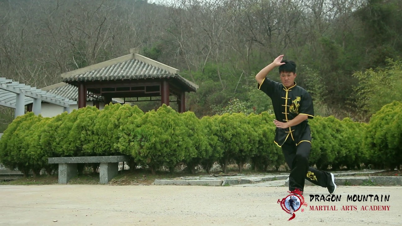 Shaolin Jin Gang Quan (金刚拳) | Shaolin Kung Fu | Shaolin Martial Arts ...