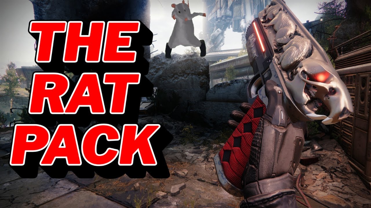 THE RAT PACK | Destiny 2 Funny Moments - YouTube