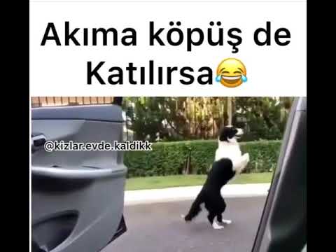 Akımda son nokta