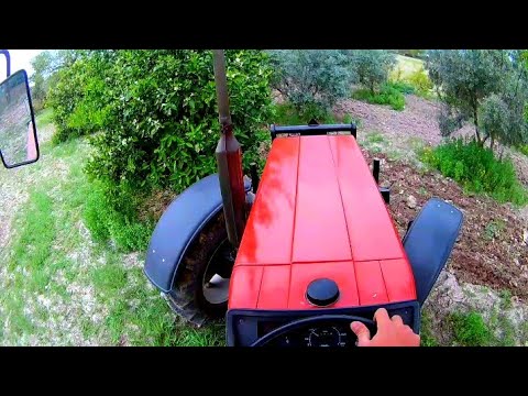 BU İŞLERİN TRAKTÖRÜ DEĞİL !!! BAHÇE İÇLERİNE KAZAYAĞI ÇEKİYORUM - tarla işleri #42