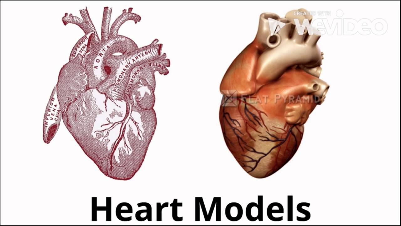Heart Model~STEM SOS PBL~Level 2 Project - YouTube