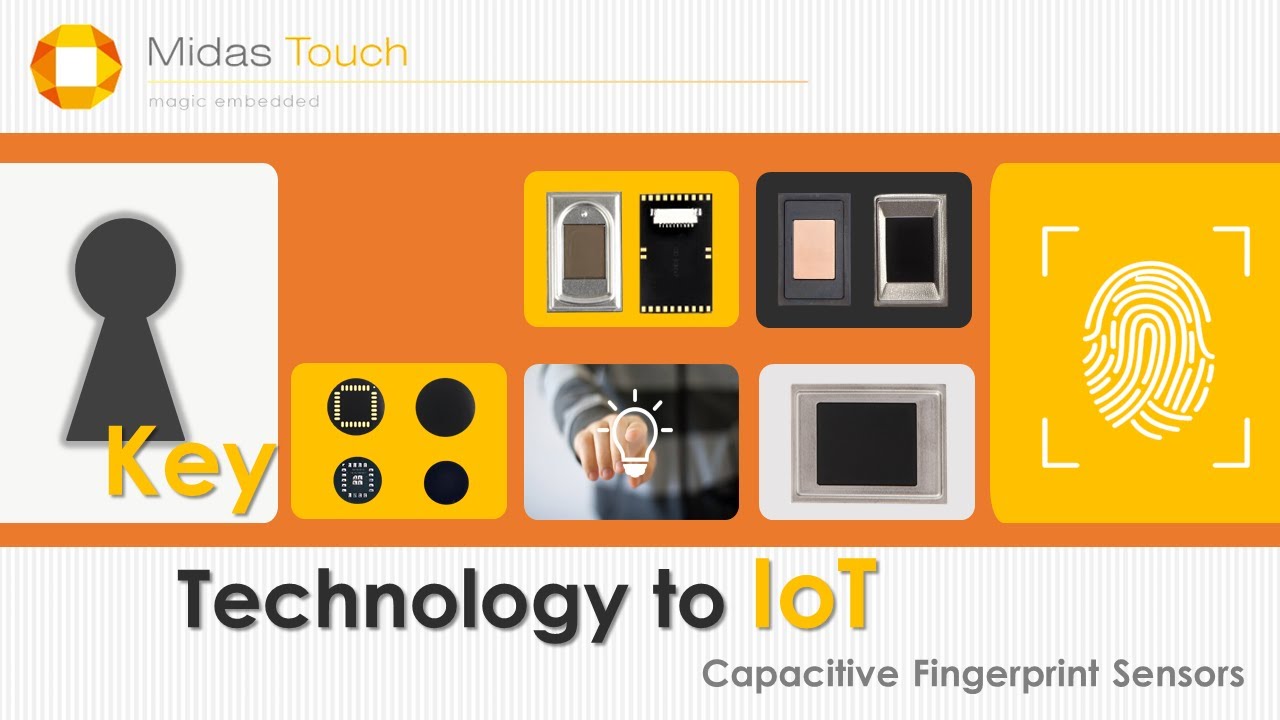 Fingerprints | Biometric Capacitive Fingerprint Sensors | Midas Touch ...
