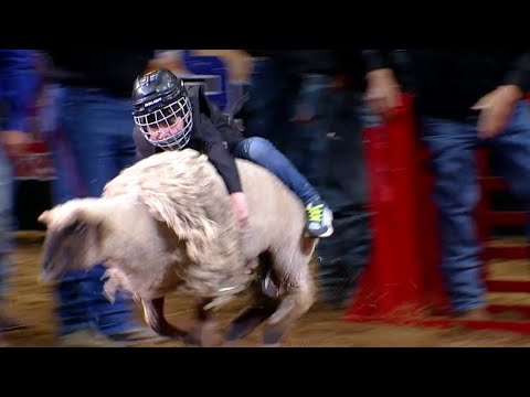 Mutton Bustin' highlights from Sunday matinee | Feb. 11, 2024 - YouTube