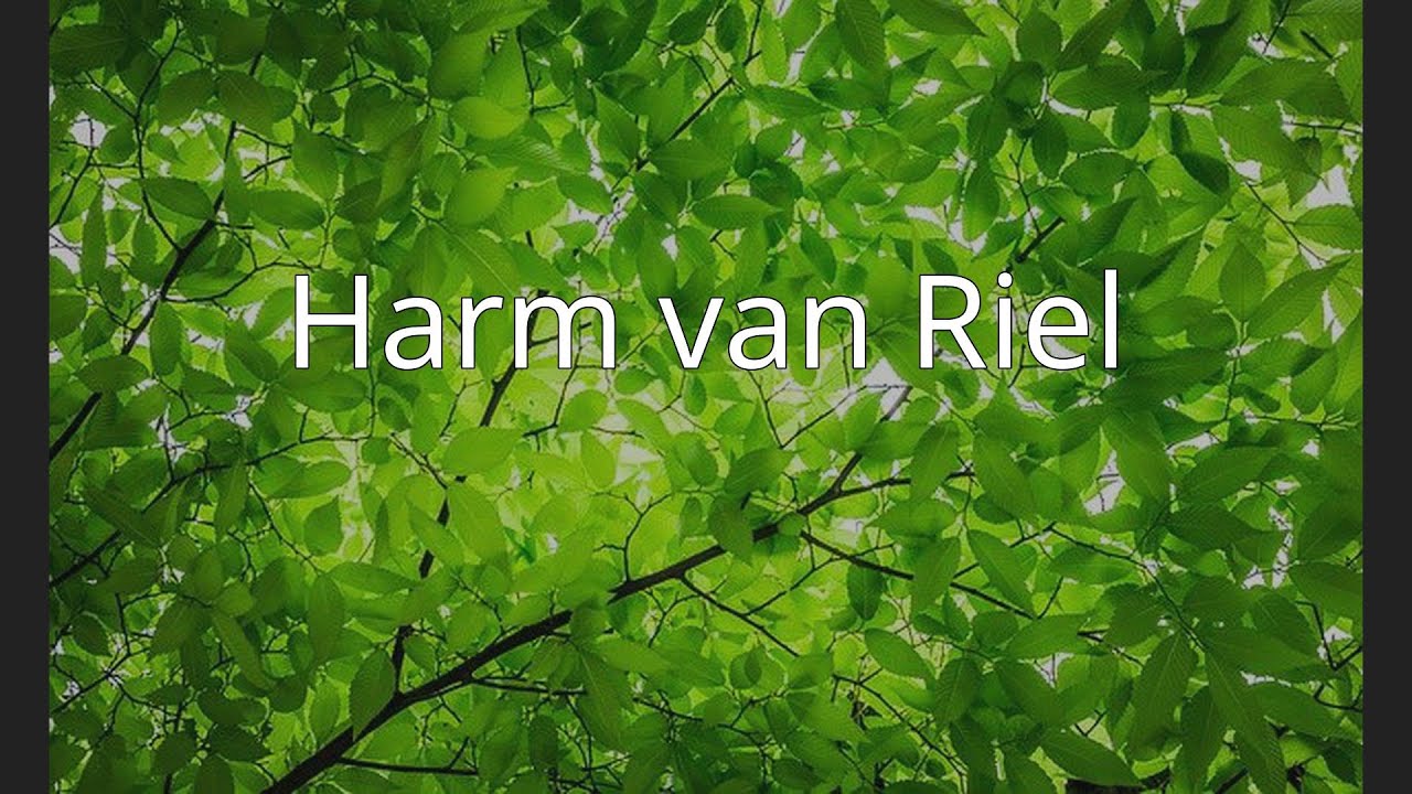 Harm van Riel - YouTube