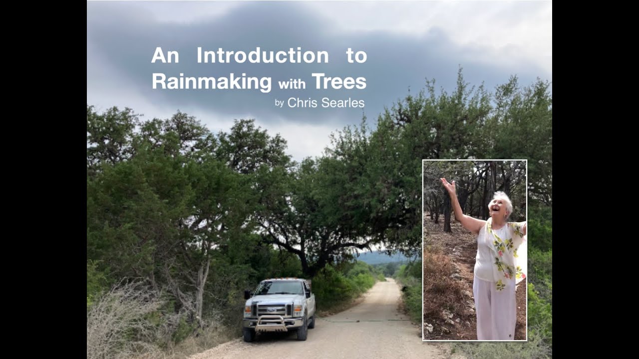 An Introduction to Rainmaking with Trees (Chris Searles) - YouTube