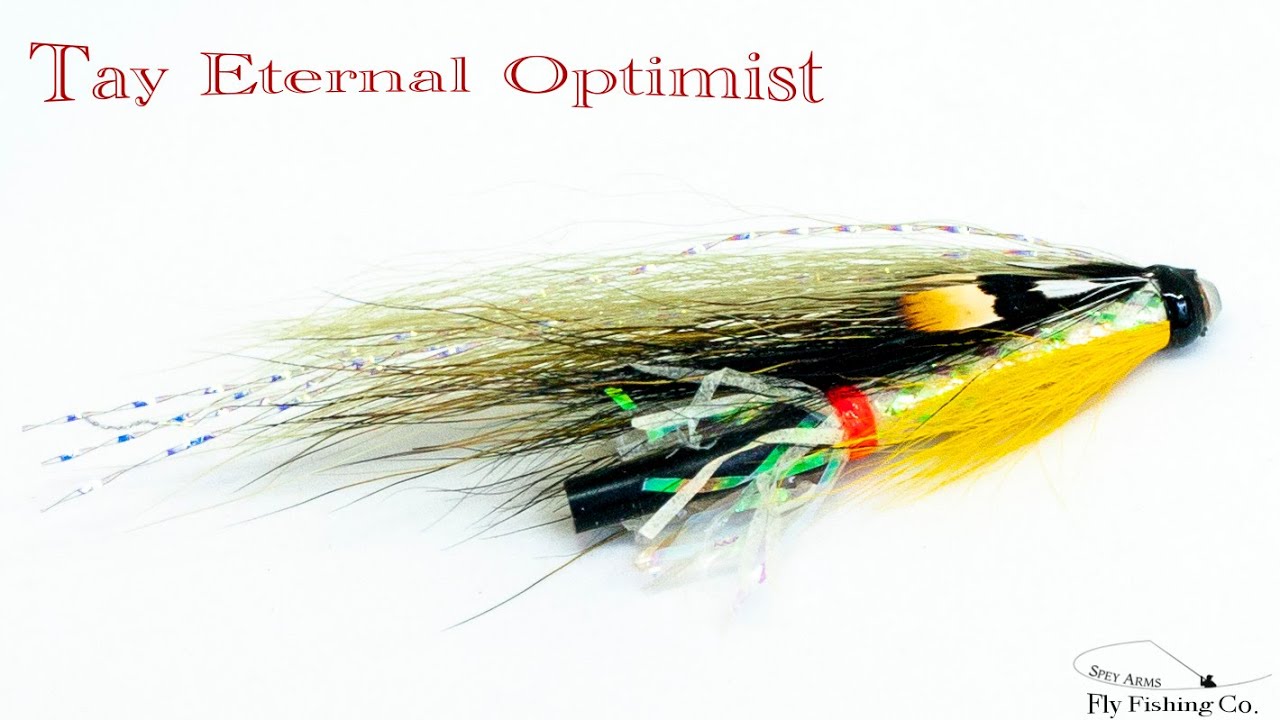Tay Eternal Optimist - great spring salmon fishing fly - YouTube