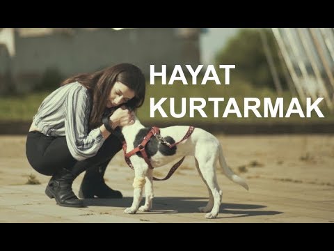 3 BOYUTLU YAZICI İLE HAYAT KURTARMAK | CBILAB Dizisi BÖLÜM 0