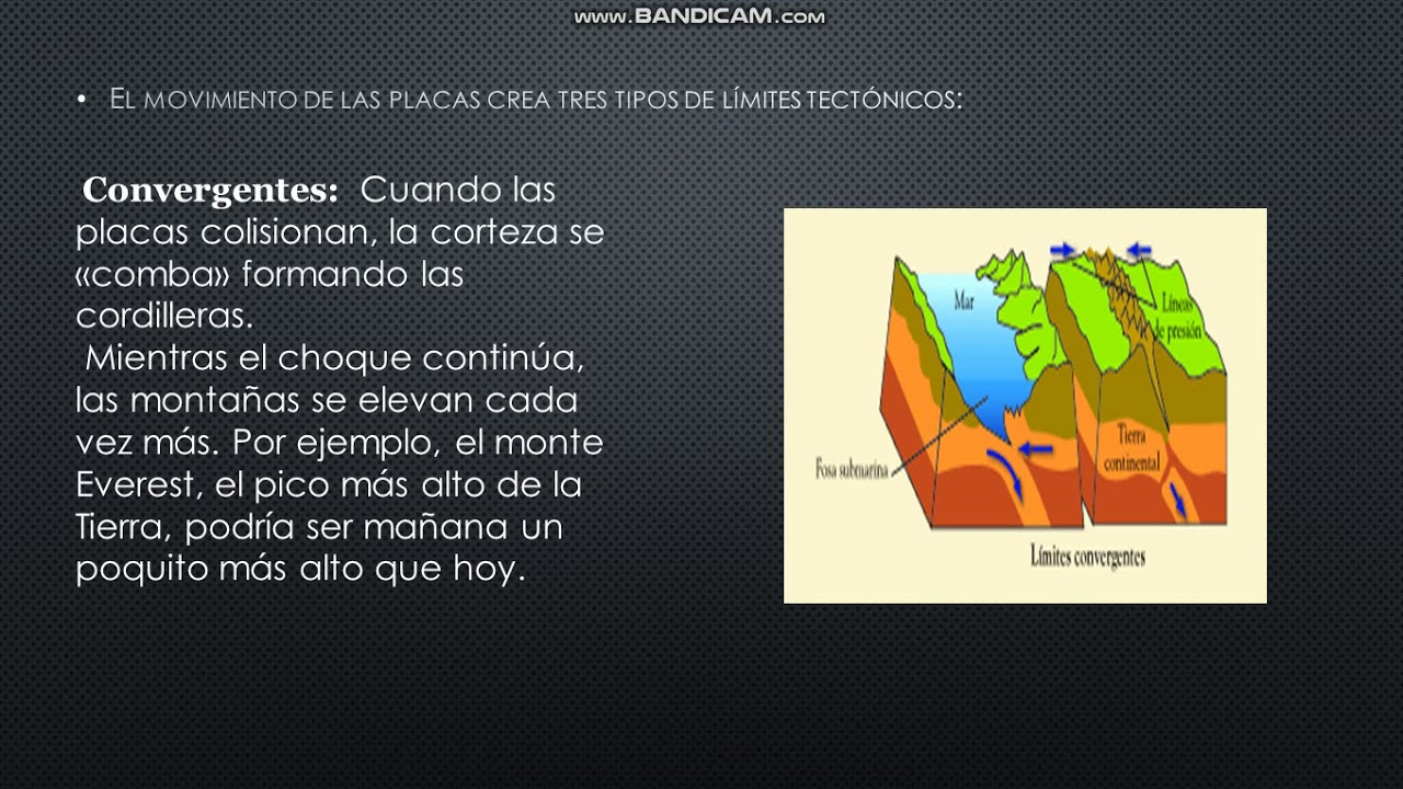 Componentes naturales parte 1 - YouTube