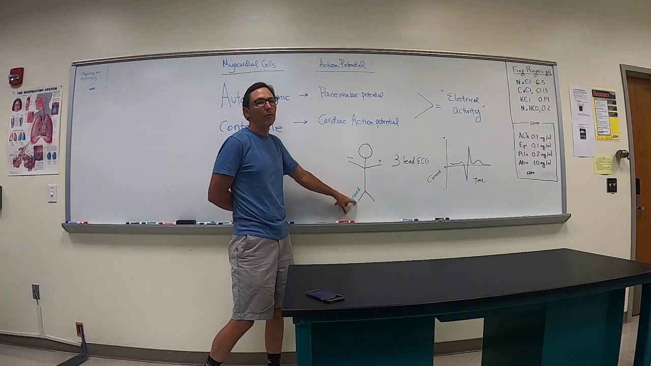 ECG Demo - YouTube