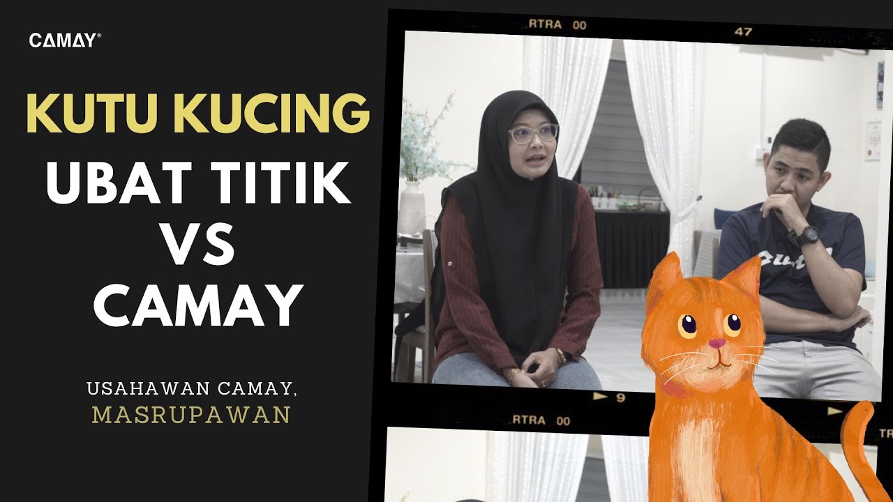 MANA LEBIH BAIK UBAT TITIK UNTUK KUTU KUCING ATAU PAKAI SPRAY CAMAY? - YouTube