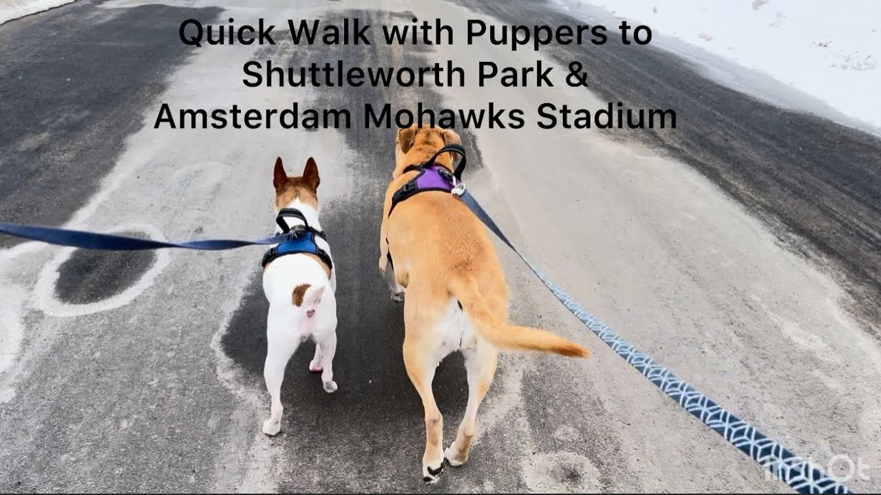 Quick Walk with Puppers to Shuttleworth Park/Amsterdam Mohawks Stadium ...