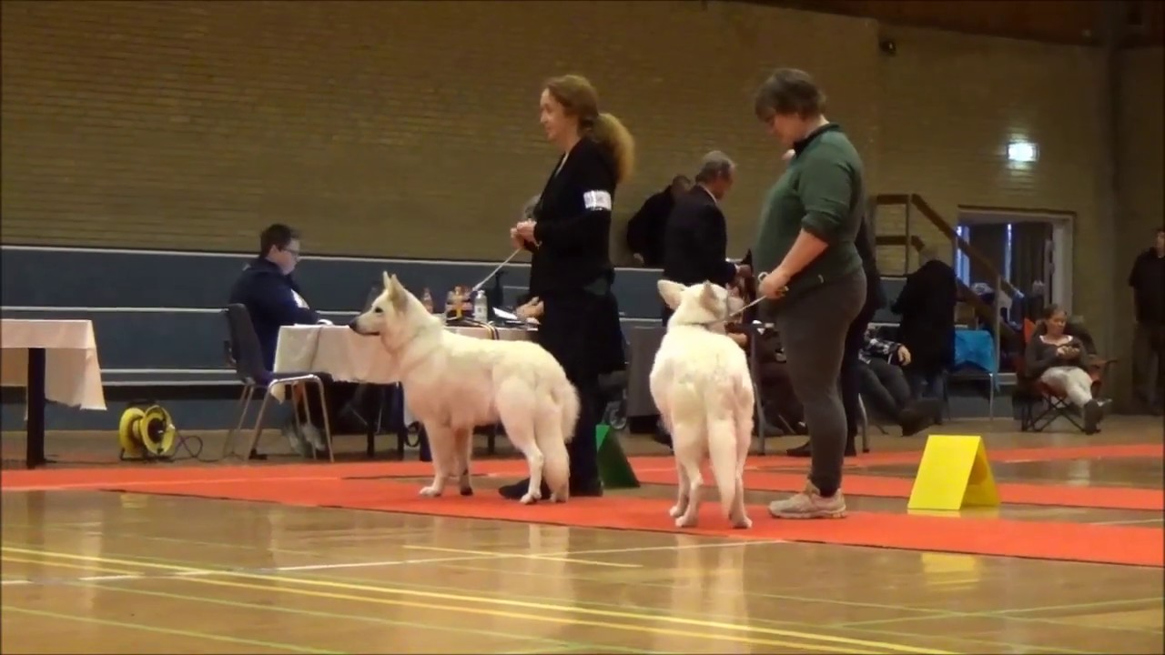 20191124 KHKG Show 2 - YouTube