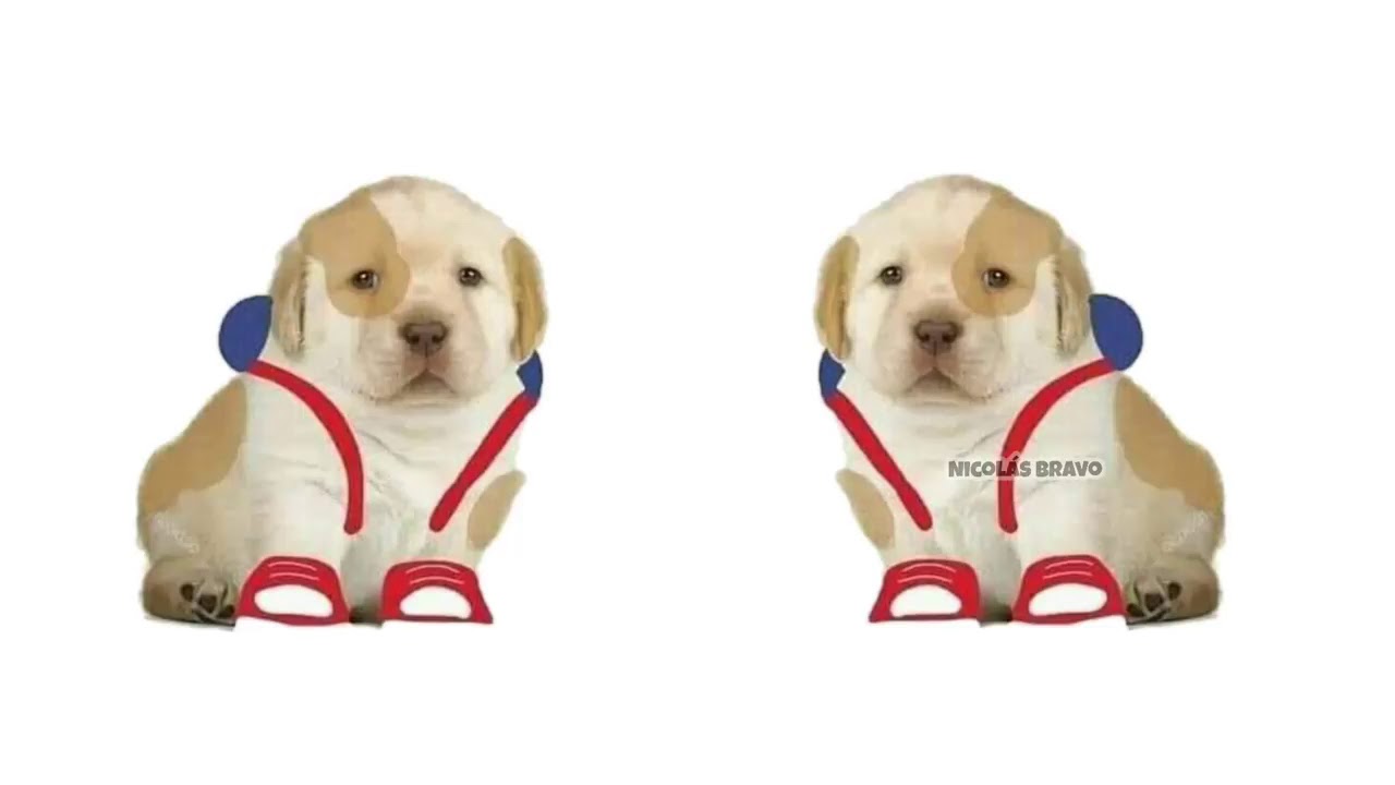 Chacarron macarron | Canciones para perritos con depresión - YouTube