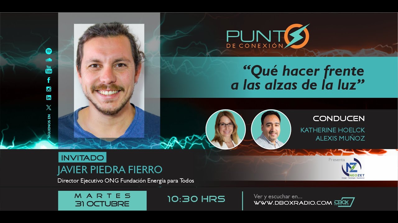 1/2 Javier Piedra Fierro “Qué hacer frente a las alzas de la luz” - YouTube