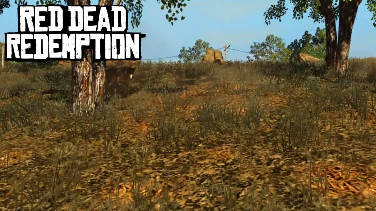 (RDR) First Person Point of View - YouTube