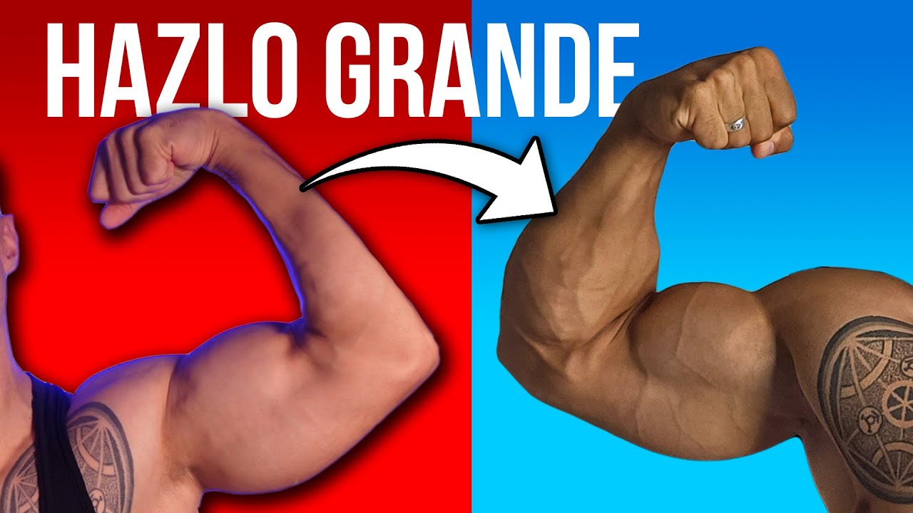 Cómo tener ANTEBRAZOS GRANDES y FUERTES (SIN HACER EJERCICIOS de ...