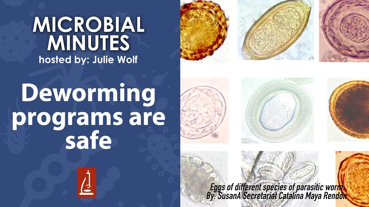 Deworming programs are safe - YouTube