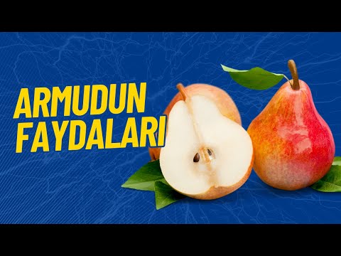 Armudun faydaları saymaqla bitməz - Armud yemək xeyirlidir