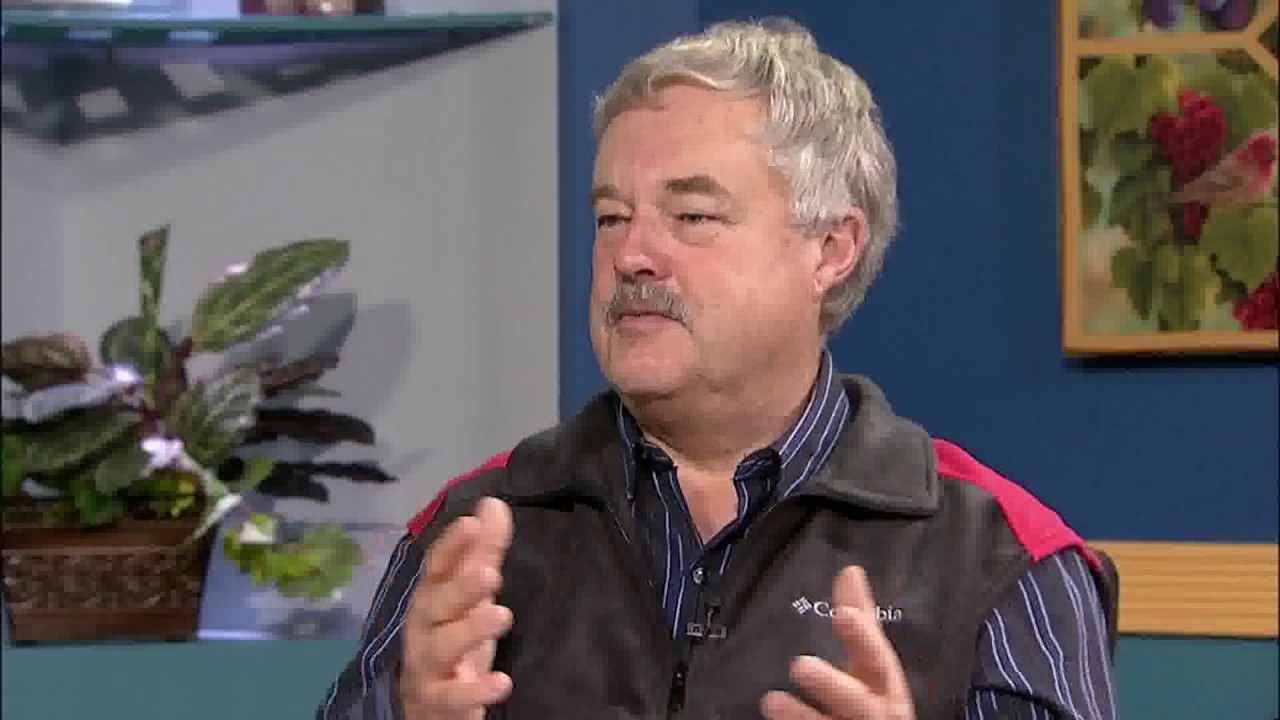 11/25/16 Leonard Perry Discusses Seasonal Garden & Landscape Tips on ...