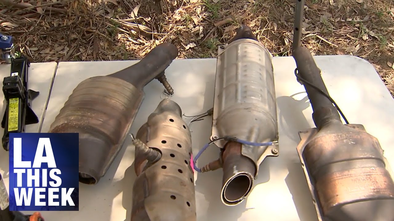Silverlake Reservoir Hosts LAPD VIN Etching Event - YouTube