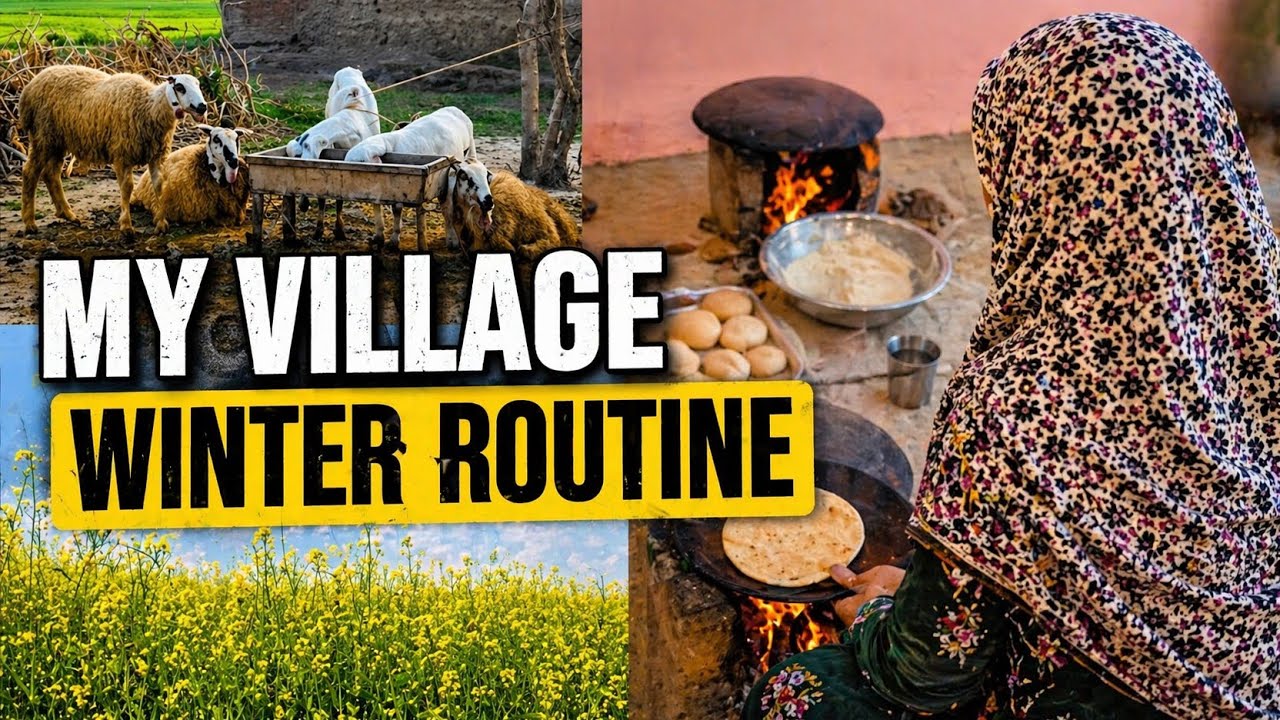 My Family Routine in Village | Pakistani Gaon Life | My Desi Village in ...