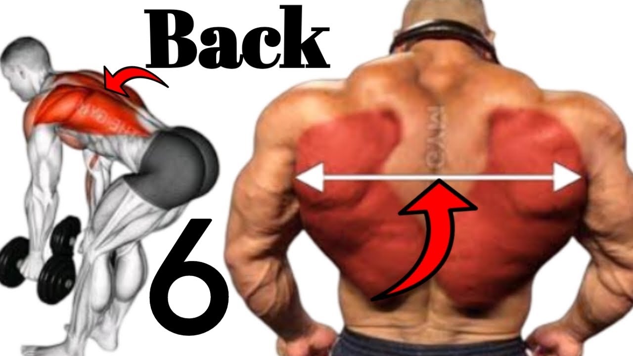 Best 6 Effective Back Workout To Get And Wider Back Exercises || My The ...