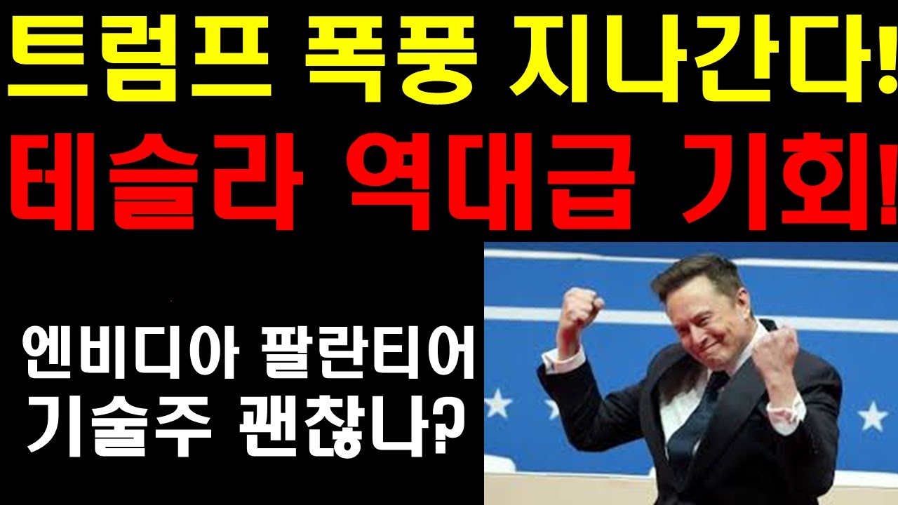 트럼프 폭풍 곧 지난간다 테슬라 인생에 없을 기회가 왔는데 기술주 이런기회가 왔는데 공포에 떨고 있다 테슬라 자율주행