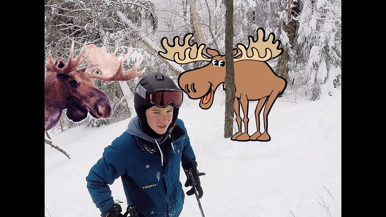 Alpine Skiing with a MOOSE??? 🦌 Skiing Vermont! - vlog e373 - YouTube