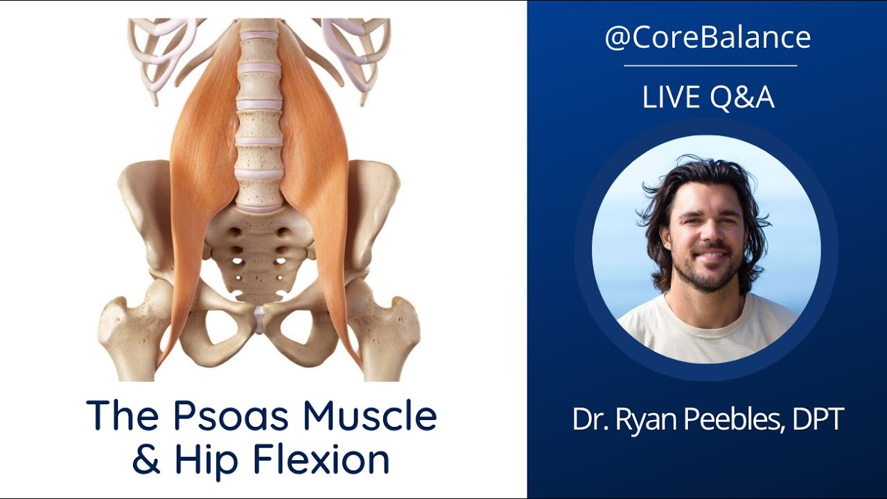 The Psoas Muscle & Hip Flexion - LIVE Q&A 5/1/24 - YouTube