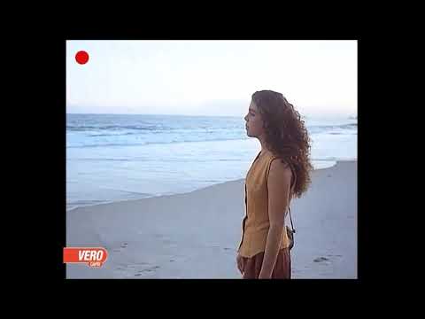 Attrazione selvaggia 1991