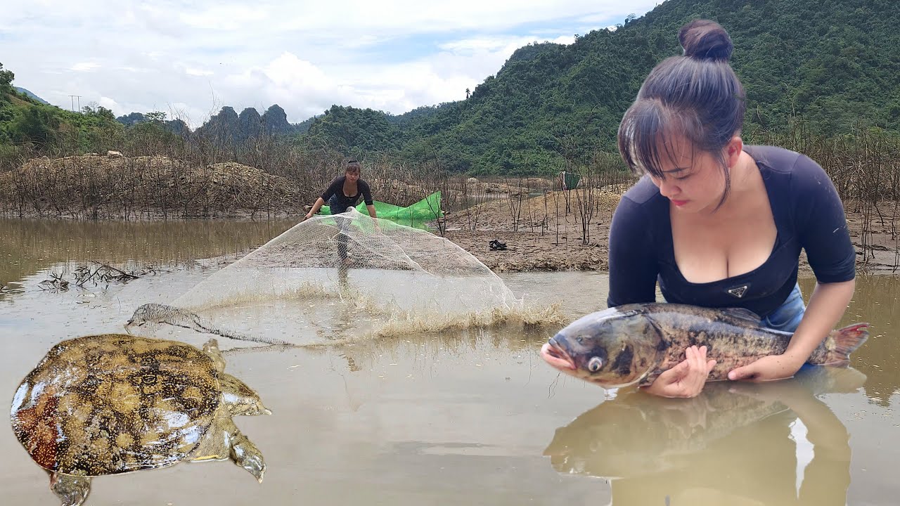 How to trap fish in low water season, release bait overnight to attract ...