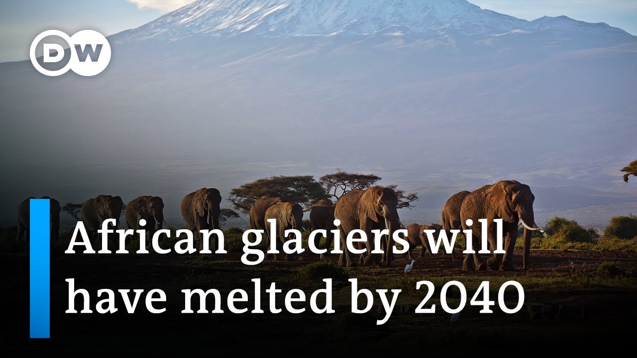 UN: Climate change will melt all glaciers in Africa in next 20 years ...