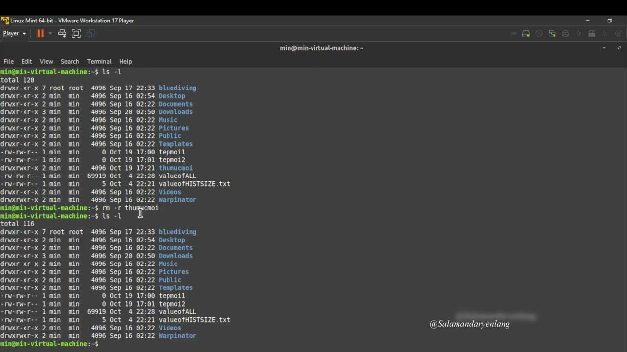 6.Basic Command Line trên Linux P4- 2023 - YouTube