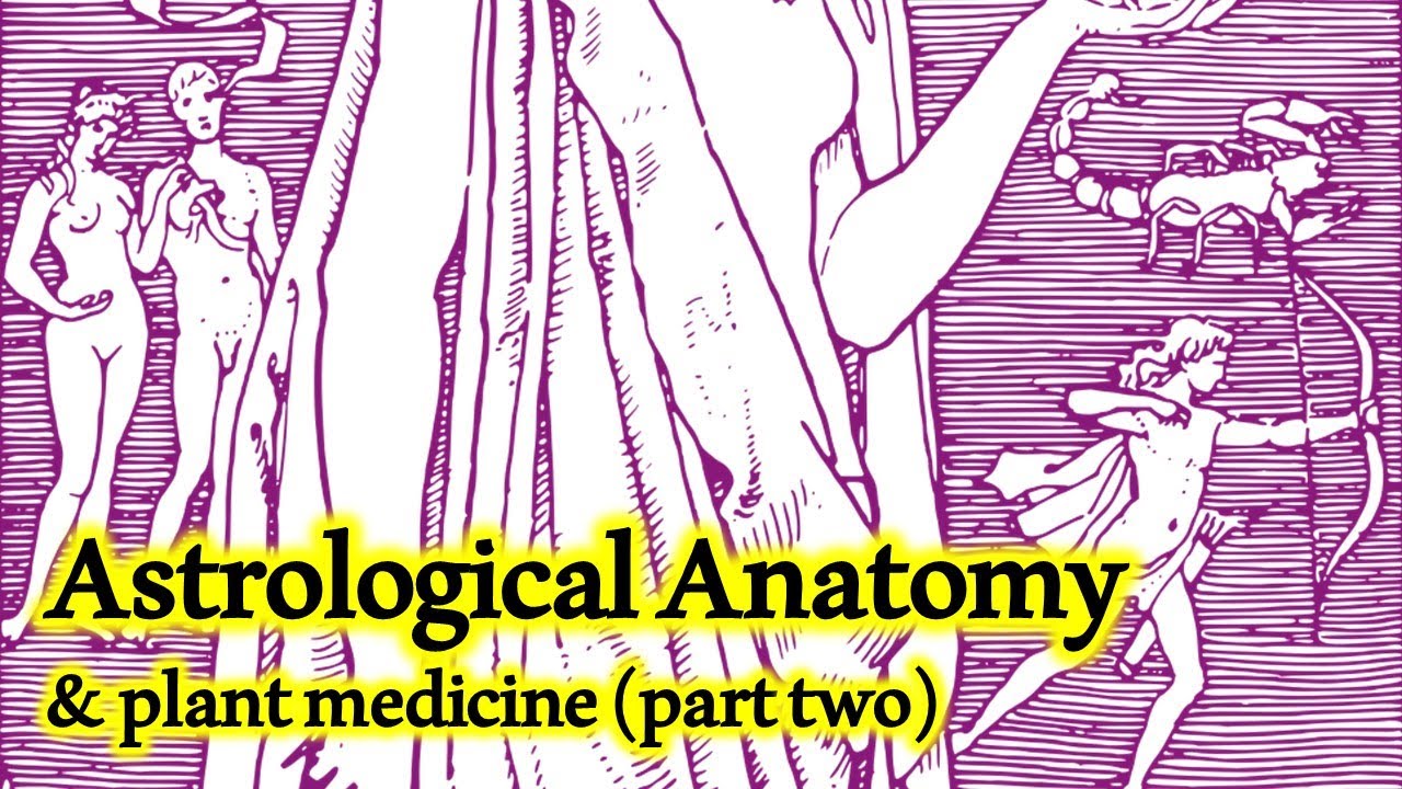 Astrological anatomy & plant medicine Part 2 - YouTube