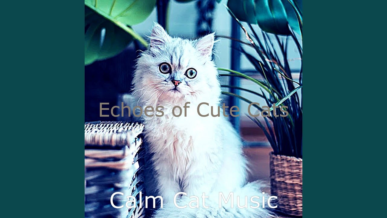 Number One Solo Piano Jazz - Vibe for Resting Cats - YouTube