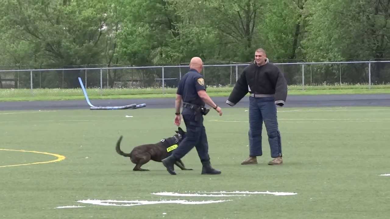Officer Mike Garrow and K9 Leo at UHS - YouTube