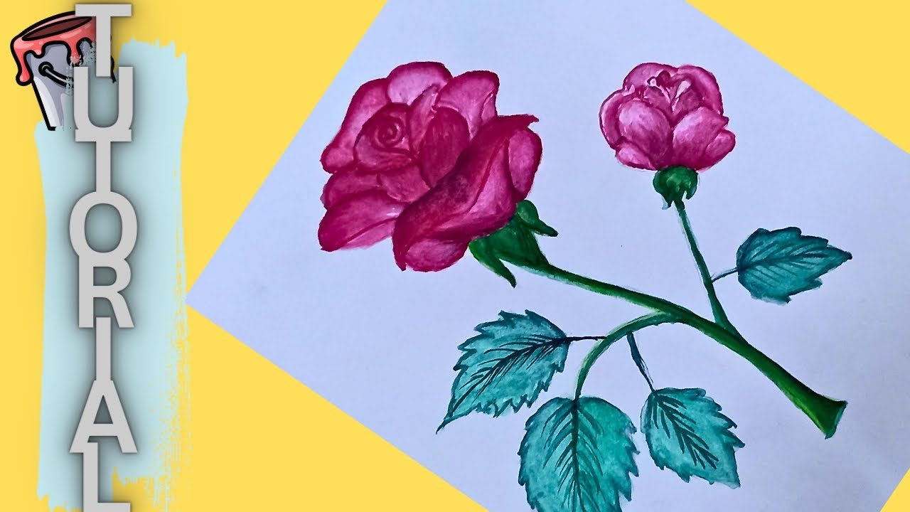 How to draw Rose🌹with water color for beginners|| Rose drawing ...